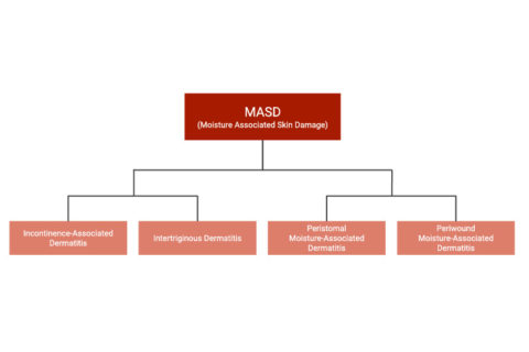 Moisture-Associated Skin Damage (MASD) - Dermolex
